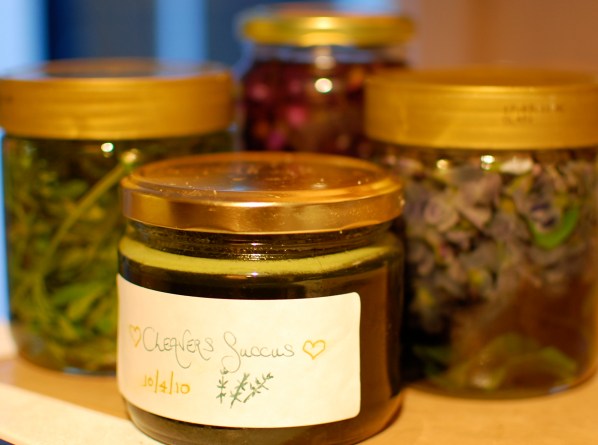 Cleavers | Whispering Earth