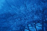 Visions From A Cool Blue World | Whispering Earth