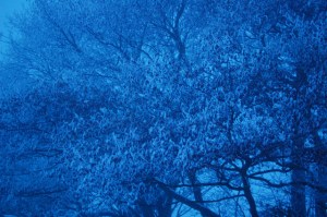 Visions From A Cool Blue World | Whispering Earth