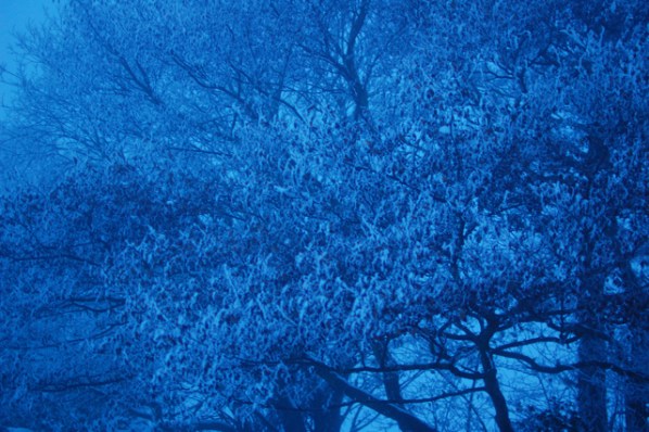 Visions From A Cool Blue World | Whispering Earth