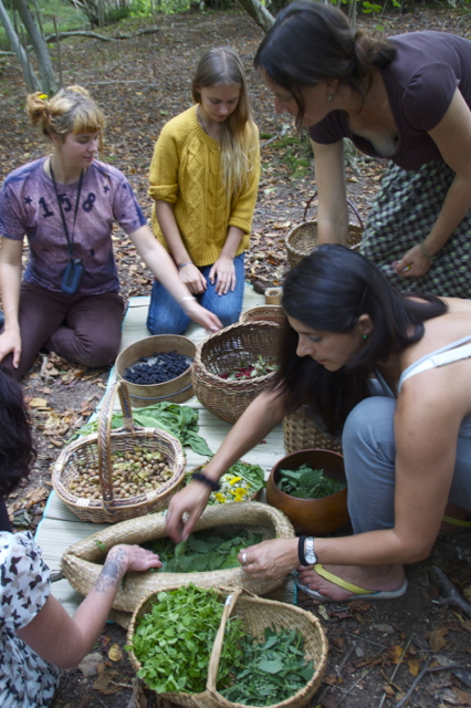 Autumn Foraging Workshops | Whispering Earth